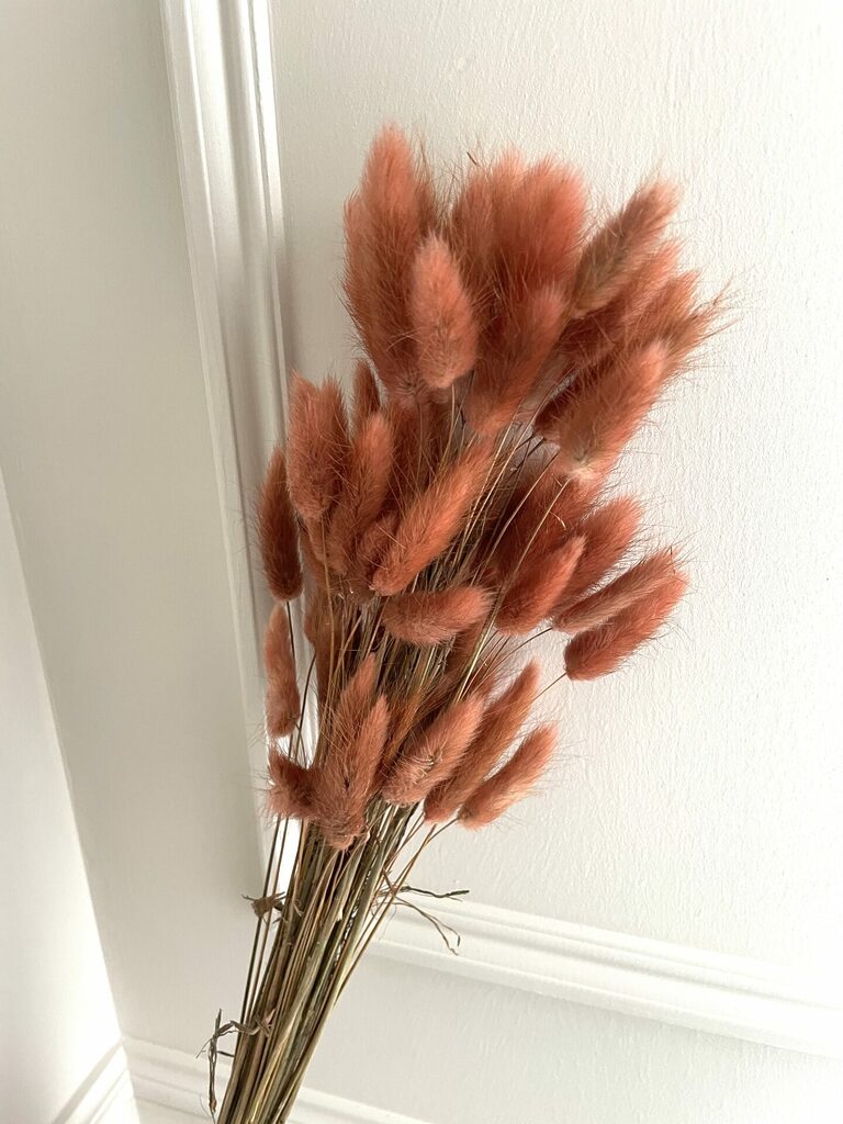 Rusty Bunny Tails | A Pampas Life